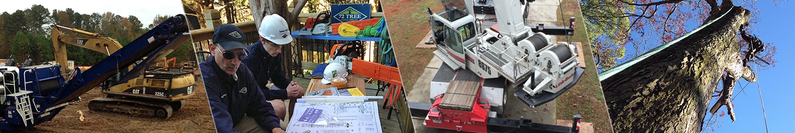 Tree Service Alpharetta Ga | Atlanta Tree Removal | About Us ...