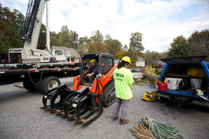 Understanding Why is Tree Removal So Expensive