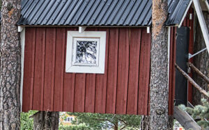 How To Build a Treehouse in 11 Easy Steps